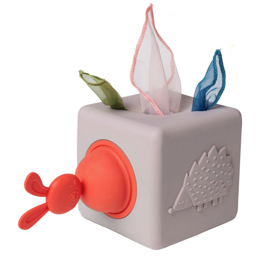 Taf Toys Pop-up Tissue Box – Halilit